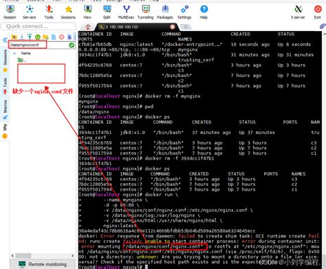 Docker Docker安装nginx Csdn博客