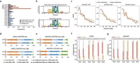 The Sequence Context Analysis Of High Confidence M⁶a Sites And