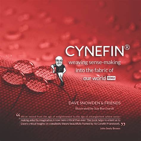 making sense of cynefin choose leadership