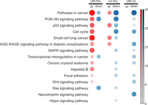 Findings Of Gene Set Enrichment Analysis Gene Expression Corrplot