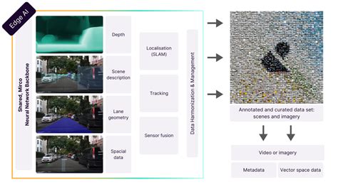 Multitask Neural Networks The Hidden Power Behind Ais Most Advanced Visual Systems Peregrineai