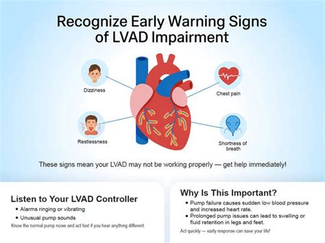How Long Can You Live With An Lvad Discover The Possibilities Lvad Gear