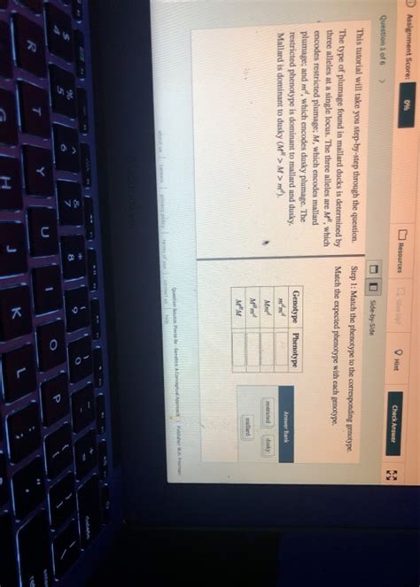 Solved D Assignment Score 0 Resources Hint Check Answer