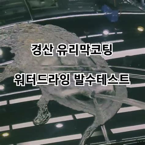 경산 유리막코팅 전문시공점 윤프로카디테일링 K7 차량 발란스나인 플라즈마 시공 6개월 후 발수테스트 유리막코팅 똑같은 코팅제라도