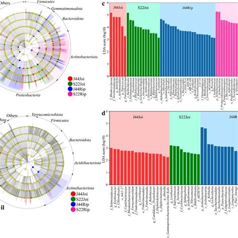 Lefse Linear Discriminant Analysis Effect Size Algorithm Cladogram