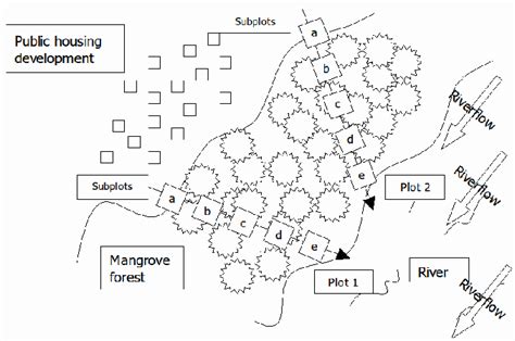 Plot Sampling Layout At Likas Bay Download Scientific Diagram