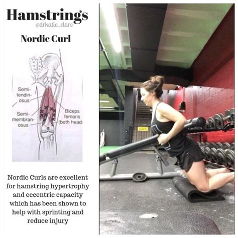 The Nordic Curl Fabulous For Hamstring Strength Hypertrophy And A Super Solid Eccentric Move