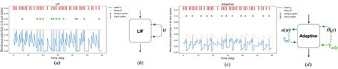 Lif And Adaptive Spiking Neuron Behaviour Ac Impinging Input Spikes