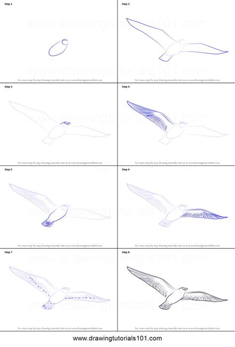 How To Draw A Flying Bird Step By Step