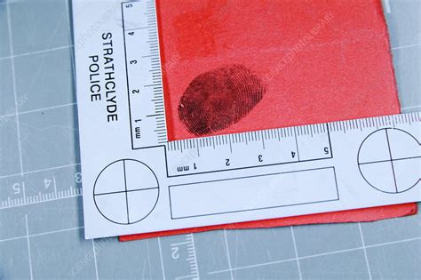Photographing Evidence Stock Image H2000262 Science Photo Library