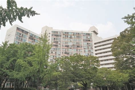 도봉구 창동주공19단지아파트 재건축 확정 네이버 블로그