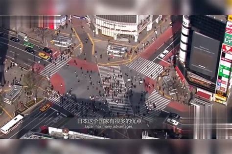 为啥日本实体店比电商厉害，在中国却相反？答案很震撼答案中国日本