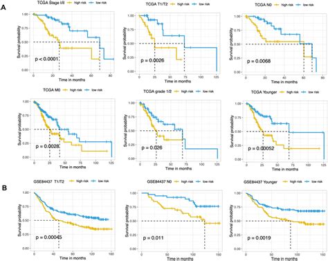 Km Analysis Of High And Low Risk Groups In Relation To The Tcga A