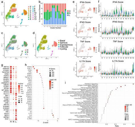 Interferon Ifn Responses Shape The Transcriptomic Landscape Of Both