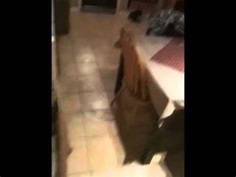 Sex With A Banana YouTube