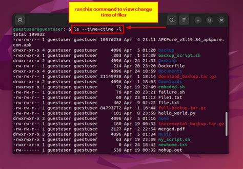 How To View Linux File Timestamps 3 Easy Methods