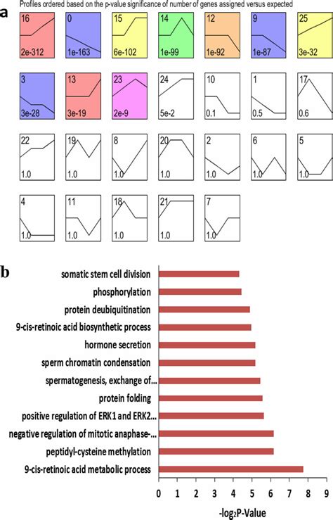 Time Series Cluster Analysis Of Gene Expression During Male Gonadal Download Scientific Diagram