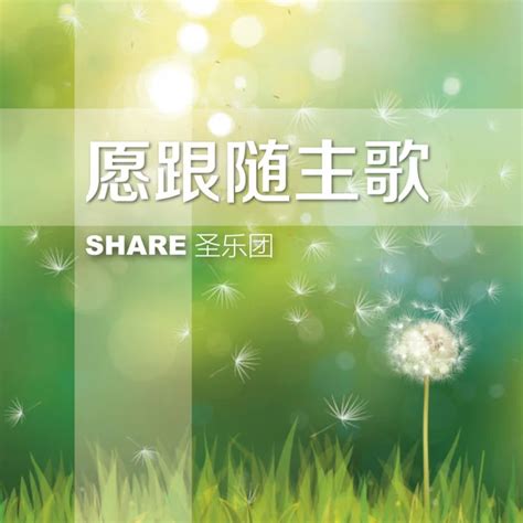20221111 歌单 爱赞美