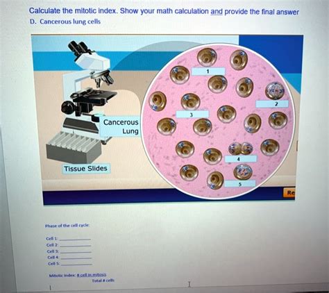 solved calculate the mitotic index show your math calculation and provide the final answer for