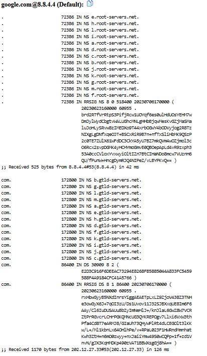 Online DNS Lookup Using Dig Web Interface