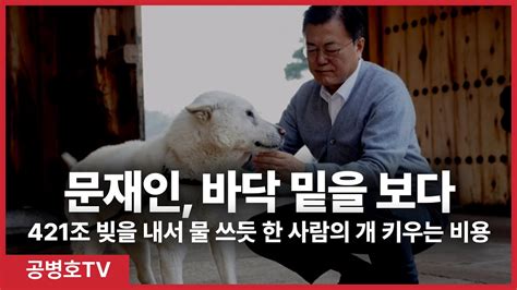 문재인 바닥 밑을 보다 421조 빚을 내서 물 쓰듯 한 사람의 개 키우는 비용 공병호tv Youtube
