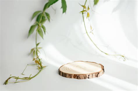 그림자와 흰색 배경에 프리젠 테이션 및 전시회를위한 자연 둥근 나무 스탠드 유기농 화장품을 위해 녹색 잎으로 3d 빈 연단을 모의 공간을 복사합니다 0명에 대한 스톡 사진