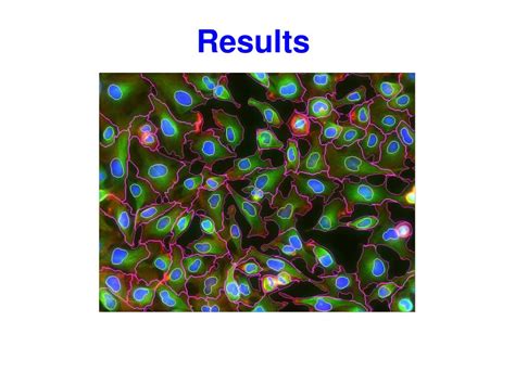 Ppt High Throughput Cell Based Assays Powerpoint Presentation Free Download Id 5518420