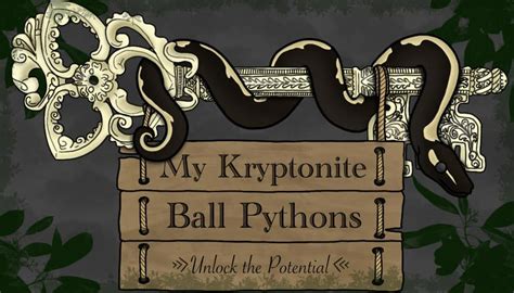 Operation Python Added A New Photo Operation Python