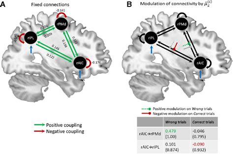 Bayesian Parameter Averaging Across Participants For The Winning DCM Download Scientific