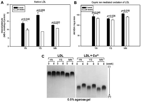 Comparison Of Low Density Lipoprotein Ldl Oxidation Extent During Download Scientific Diagram