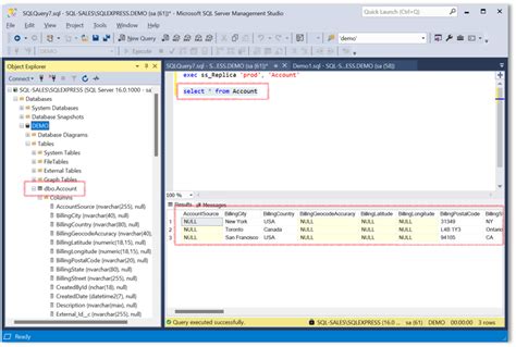 Sql Sales And Working With Your Salesforce Data