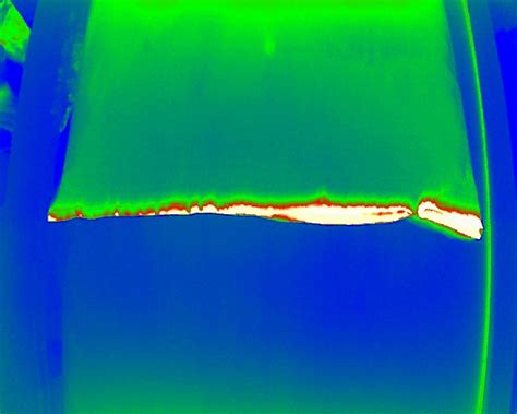 Seal Semantic Segmentation Dataset By Chensi