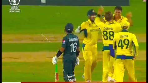 Pak Vs Aus Live वनडे विश्व कप में पाकिस्तान की लगातार दूसरी हार