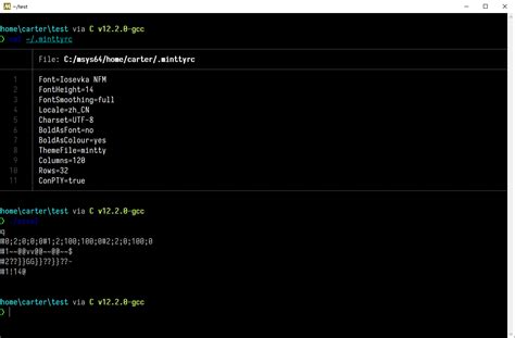 Sixel Images Don T Work With Native Windows C Programs Issue Mintty Mintty GitHub
