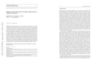 A Hybrid Quantum Classical Classifier Based On Branching Multi Scale