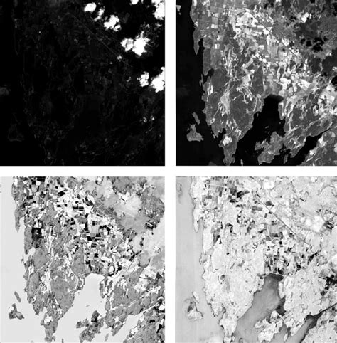The Result Of The Maximum Noise Fraction Analysis Of The Multispectral Download Scientific