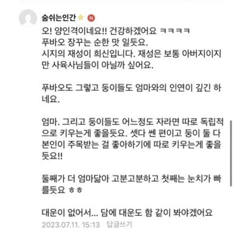 더쿠 다시 보는 그때 그 쌍둥이바오들 사주팔자