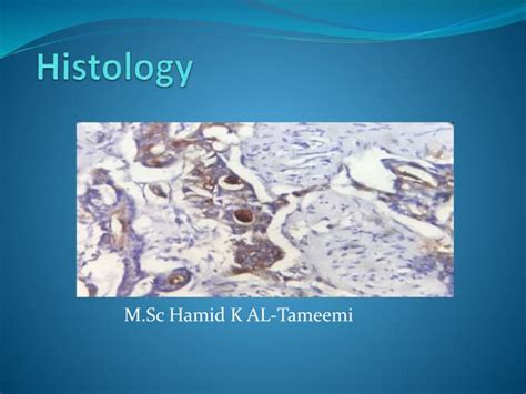 Introduction To Histology Pptx Biological Sciences Science