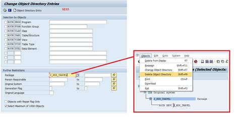unable to delete a package sap community