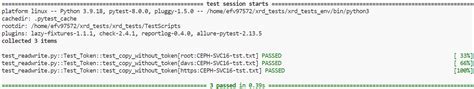 example 1 readwritetest token test xrootd testing framework