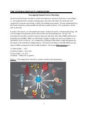 LAB EXERCISE PHYSIOLOGY Doc THE GENERAL BIOLOGY LABORATORY Investigating Human Exercise