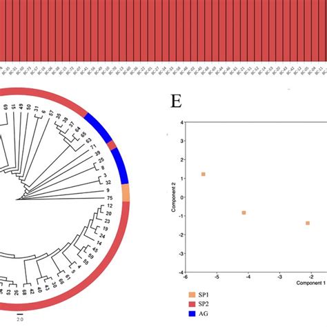 Population Structure Analysis And Pca Of The 75 Ethiopian Mustard Download Scientific Diagram