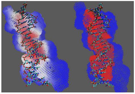 Deepdise Dna Binding Site Prediction Using A Deep Learning Method Pmc