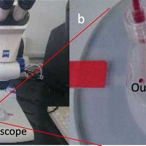 Blood Viscosity In CP Variations With A Temperature Degrees Download Scientific Diagram