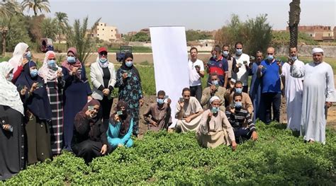 الشمول المالي