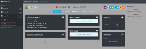 management cluster linux container lxd menggunakan lxdmosaic belajar