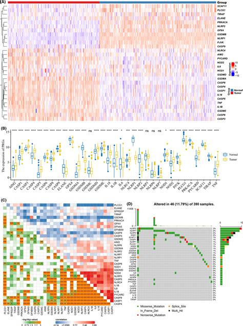 Expression And Mutation Of 33 Pyroptosis‐associated Genes A Heatmap