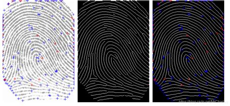 2021wsb Day2 4 Raffaele教授演示利用opencv和python实现一个指纹识别系统 含代码 Part4指纹脊线图 Python Csdn博客