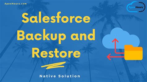 Salesforce Bulk Api 20 Apex Hours