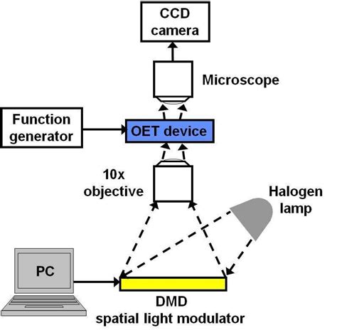 3 Optical Setup For The Generation Of Optical Patterns Using The Dmd